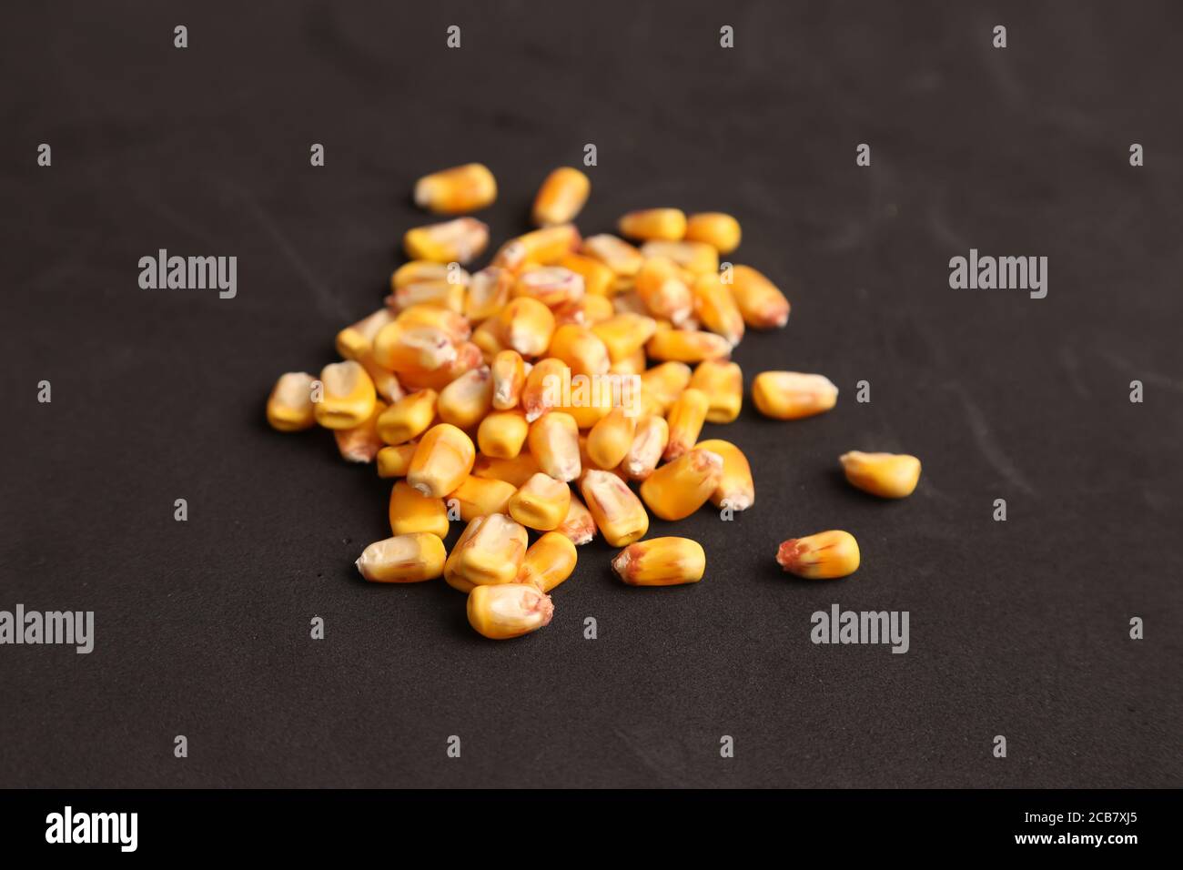 Closeup of a heap of corn grain isolated on a black background Stock ...