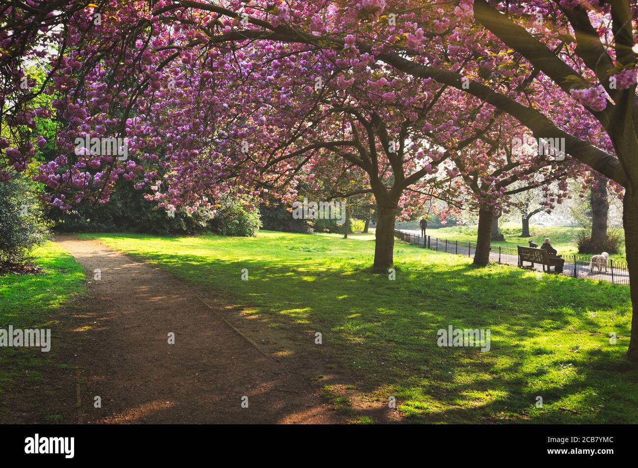 Hyde park beautiful spring hi-res stock photography and images - Alamy
