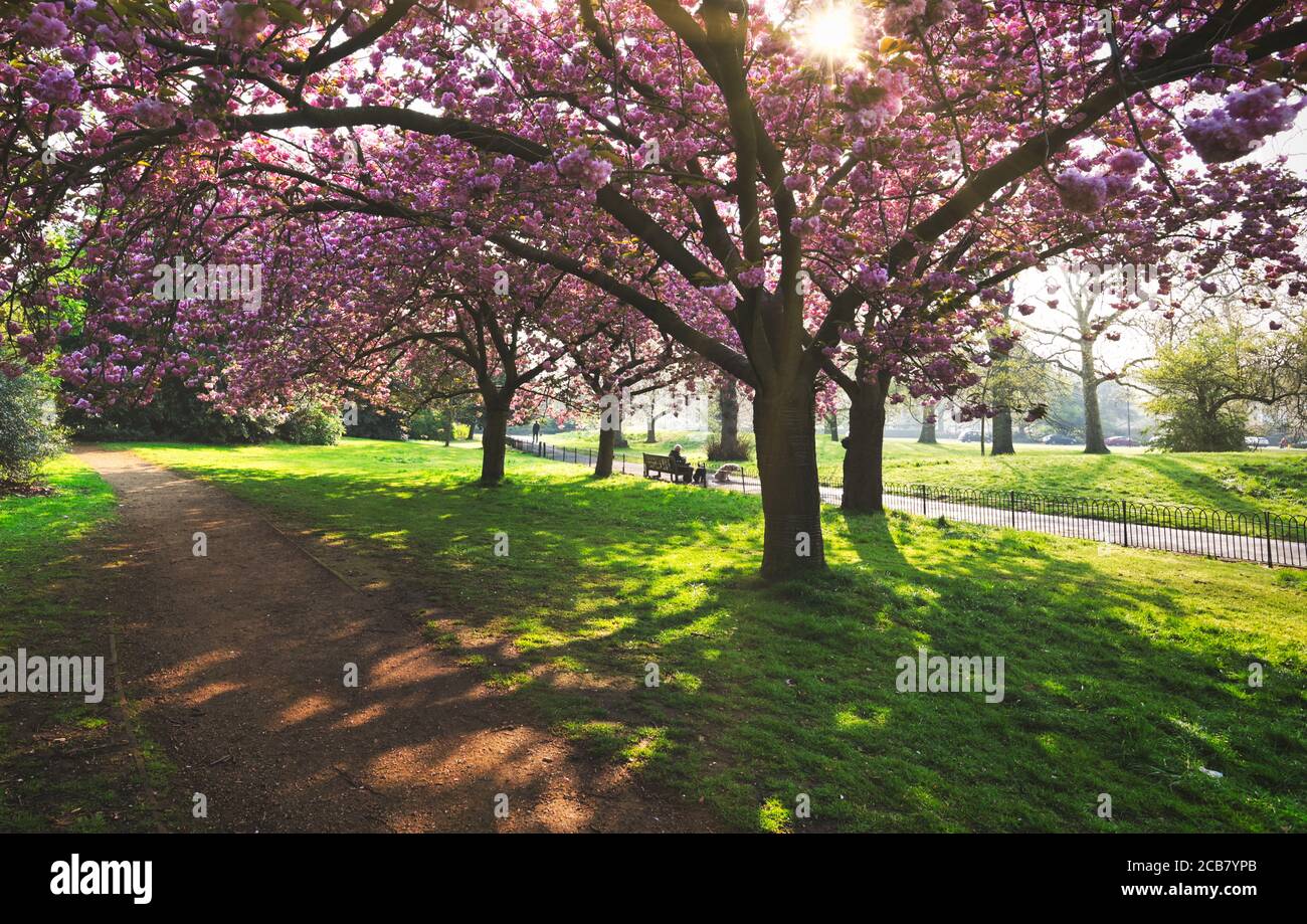 Hyde park beautiful spring hi-res stock photography and images - Alamy
