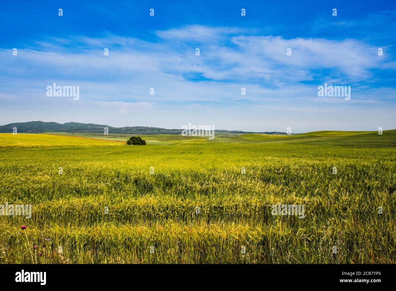 Grain mountain hi-res stock photography and images - Alamy