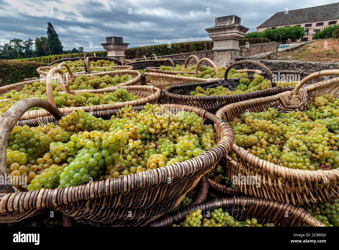 Chateau grancey aloxe corton hi-res stock photography and images - Alamy