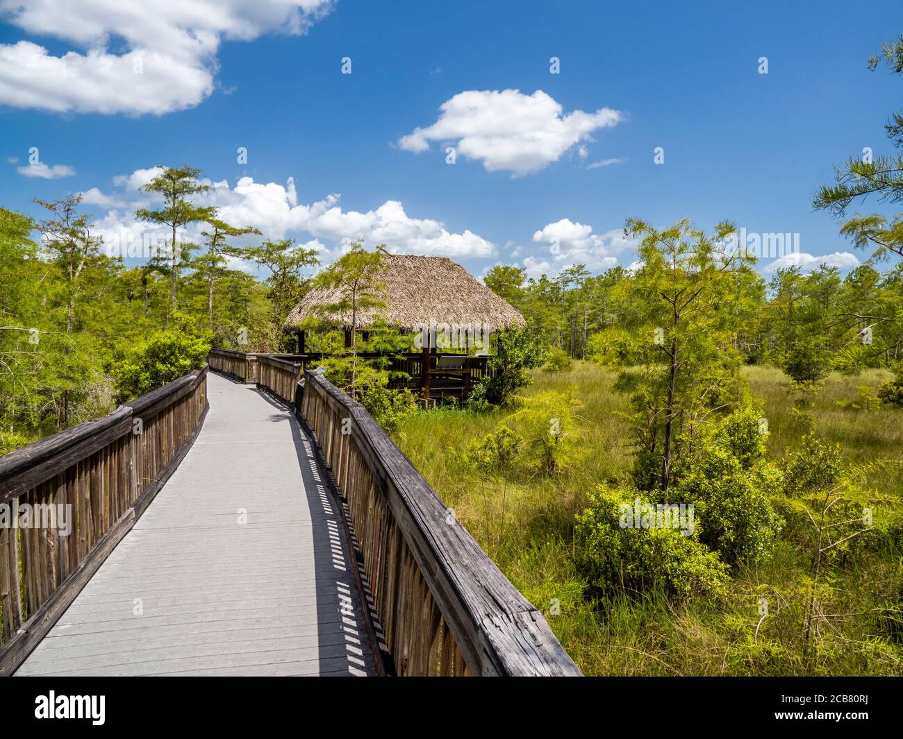 Boardwalk though Cypress trees at Kirby Storter Roadside Park in Big ...