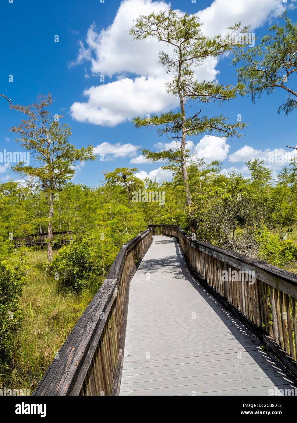 Big cypress national park hi-res stock photography and images - Alamy