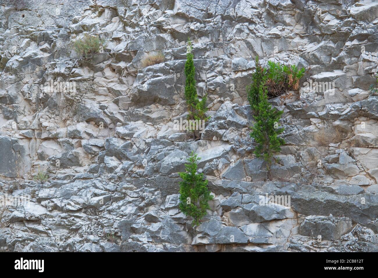 Overcoming natural obstacles hi-res stock photography and images - Alamy