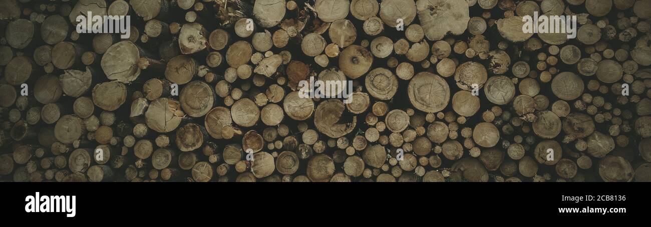 tree trunks from front view stacked on top of each other, interesting ...