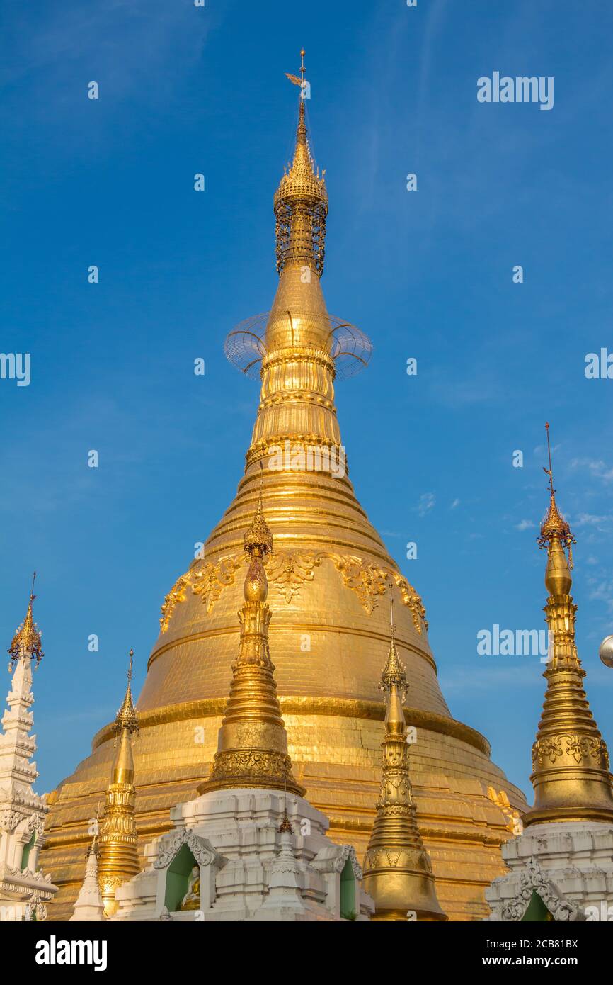 The stupa of the Shwedagon Pagoda in the evening sunlight, in Yangon ...