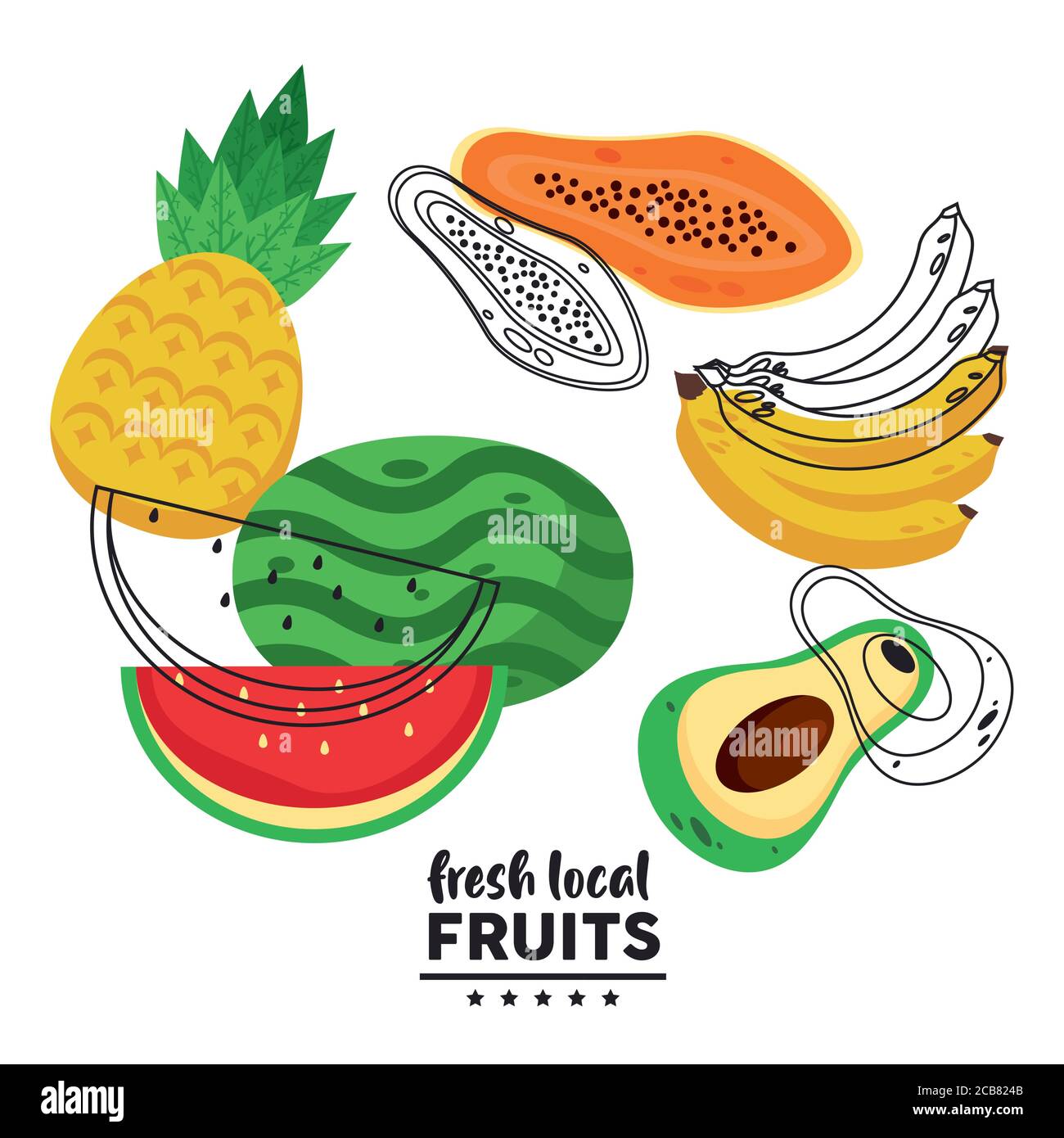 fresh local fruits lettering with watermelon and fruits vector ...