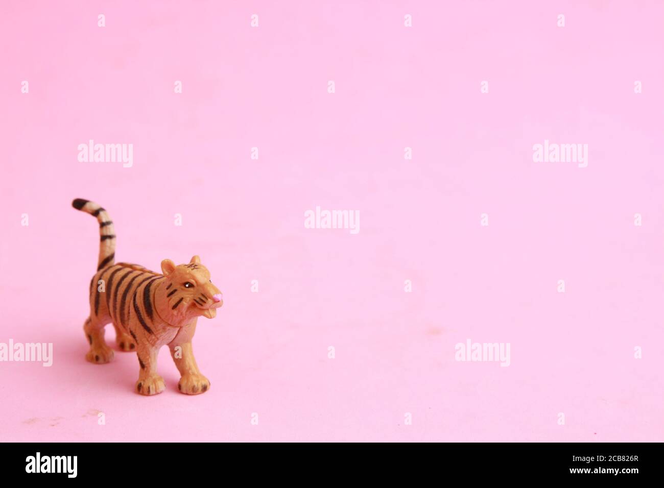 Closeup of a plastic tiger toy on a pink background Stock Photo - Alamy