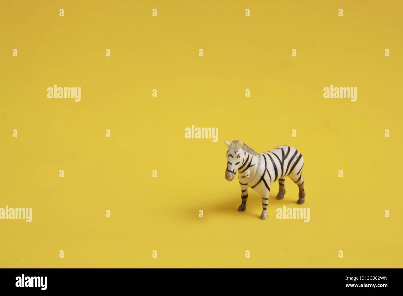 Plastic zebra toy on yellow surface with space for your text Stock ...