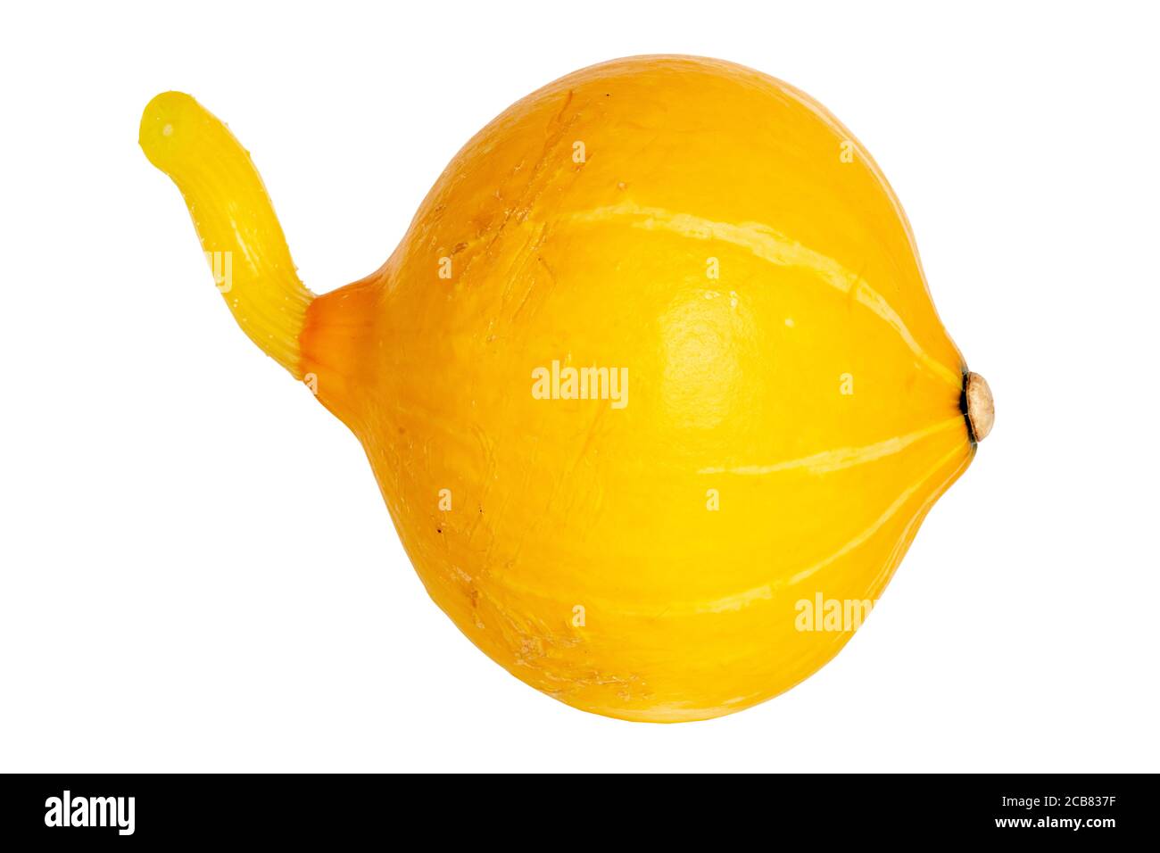 Vegetable and fruits isolated. A fresh ripe round yellow organic ...