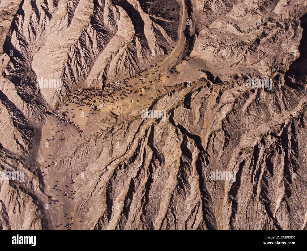 Aerial view of tourists and horses, Mount Bromo Tengger Semeru National ...
