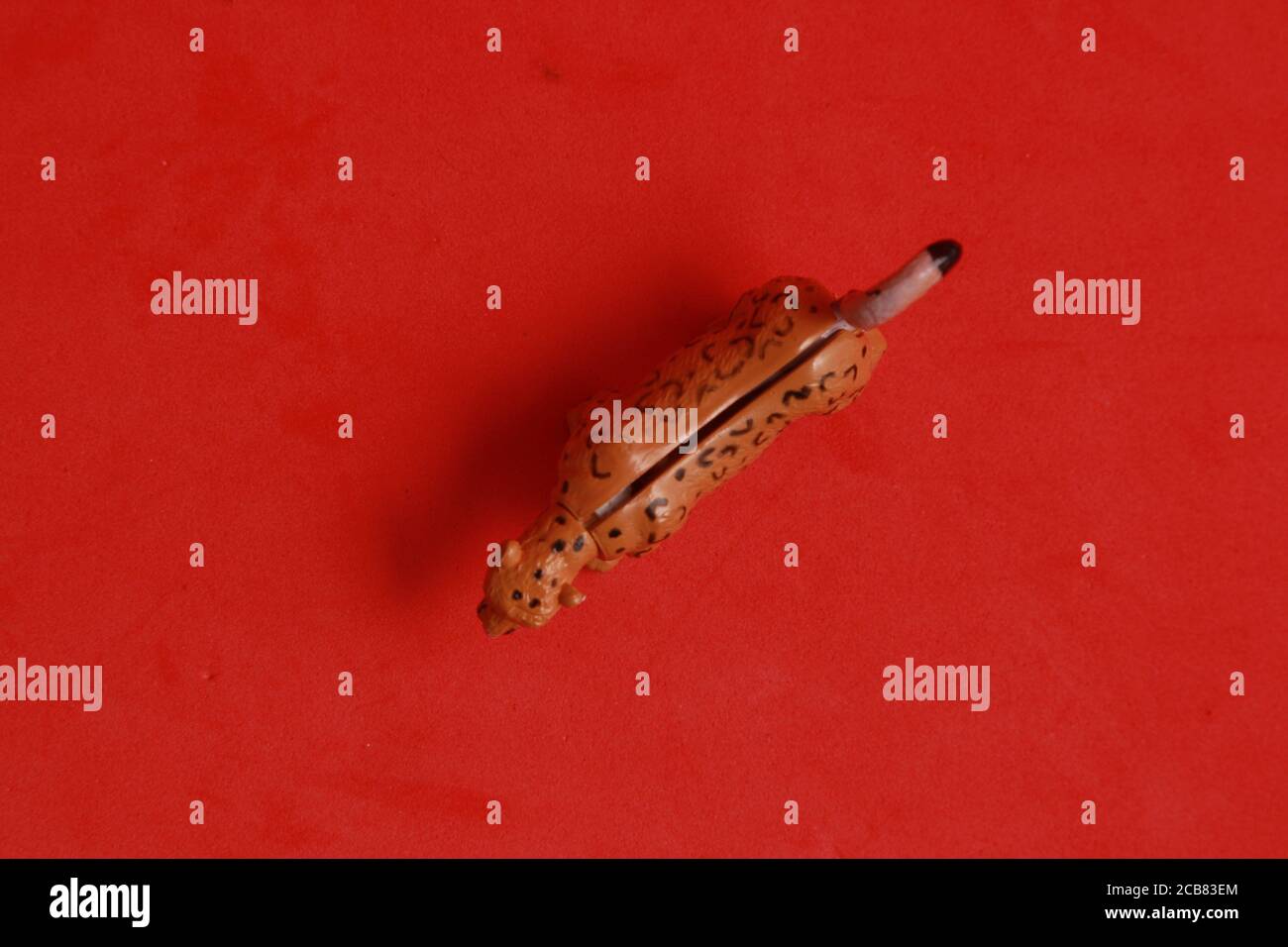 Top view of a plastic leopard toy on a red background Stock Photo - Alamy