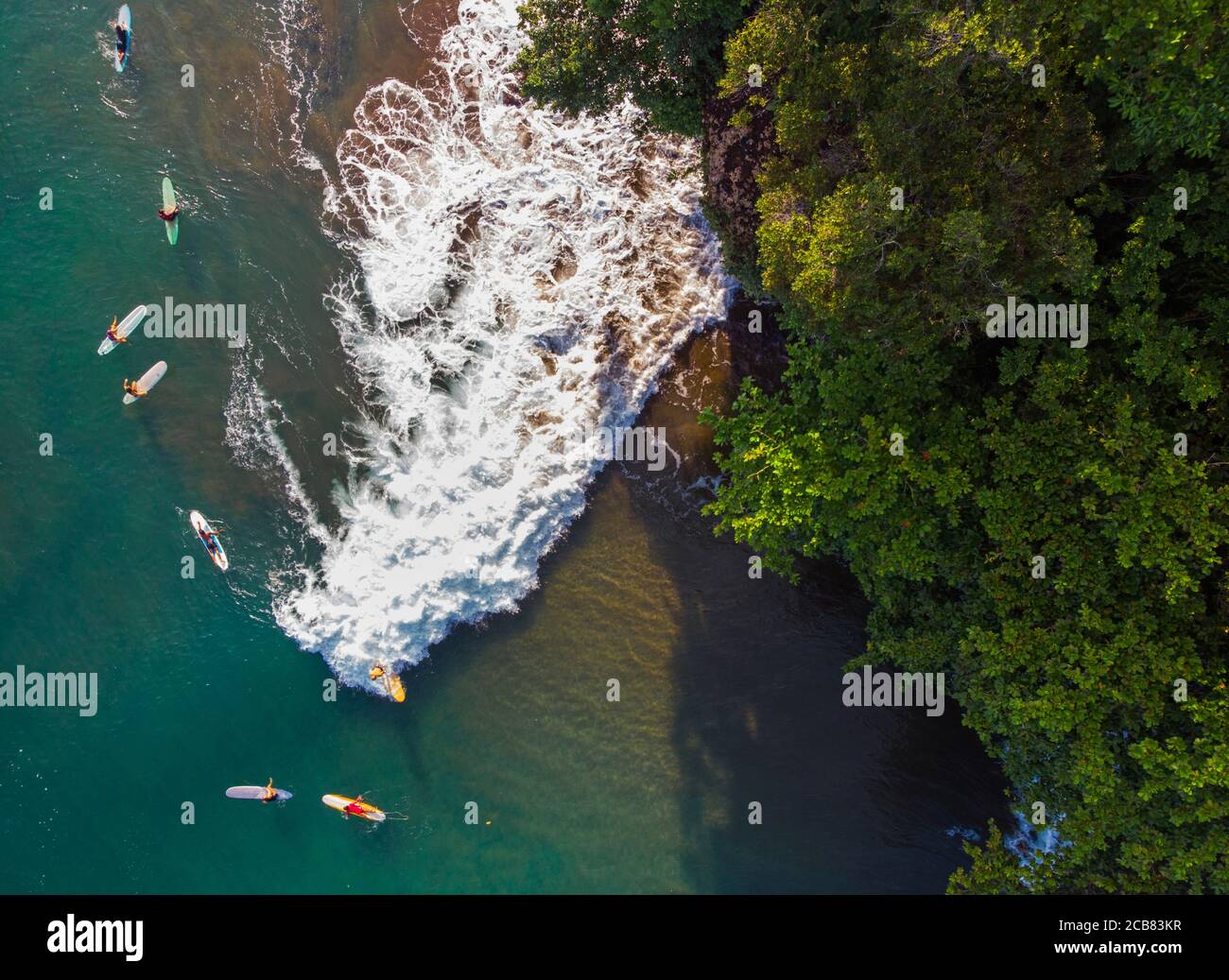 Aerial view of surfers, Batu Karas Beach, West Java Province, Indonesia ...