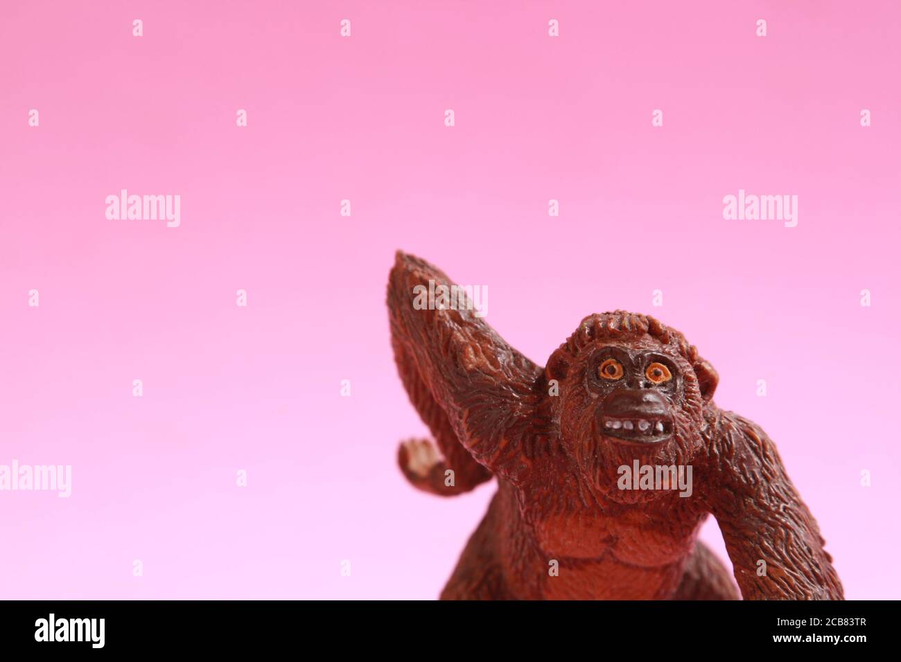 Rubber ape toy isolated on pink background Stock Photo - Alamy