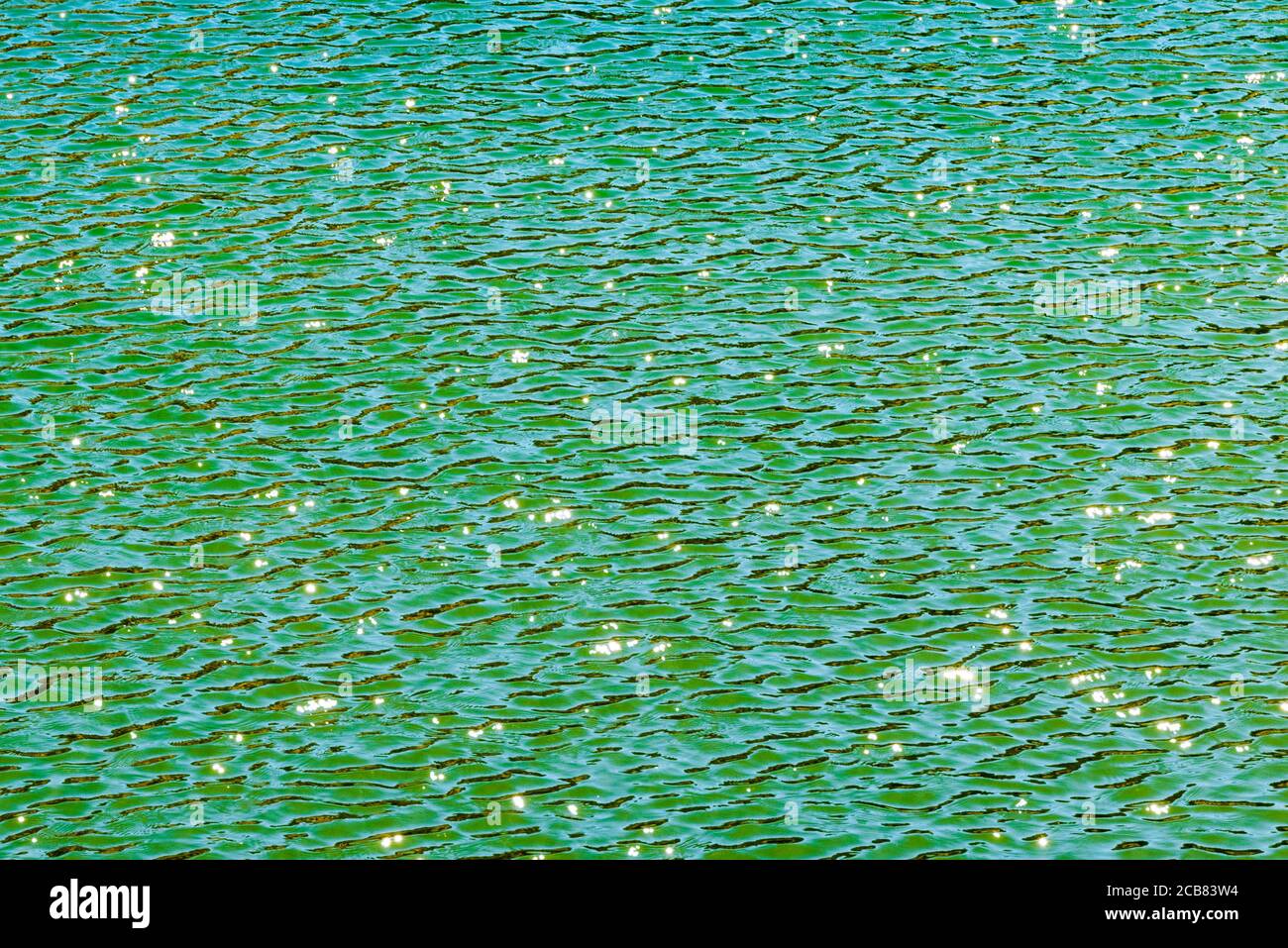 Close up of ripples and waves; Marble Quarry Gulch; Ute Trail; CR 184 ...