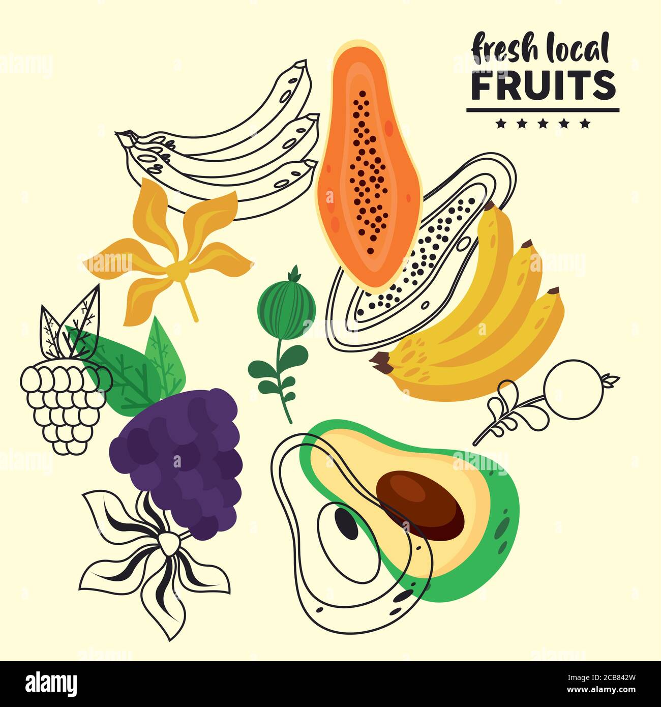 fresh local fruits with bananas and fruits pattern vector illustration ...