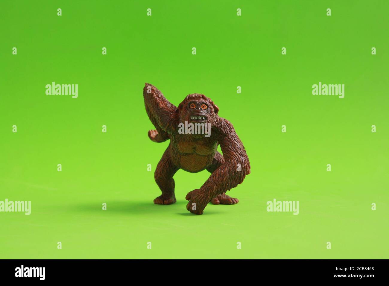Closeup of a small rubber ape toy isolated on a green background Stock ...