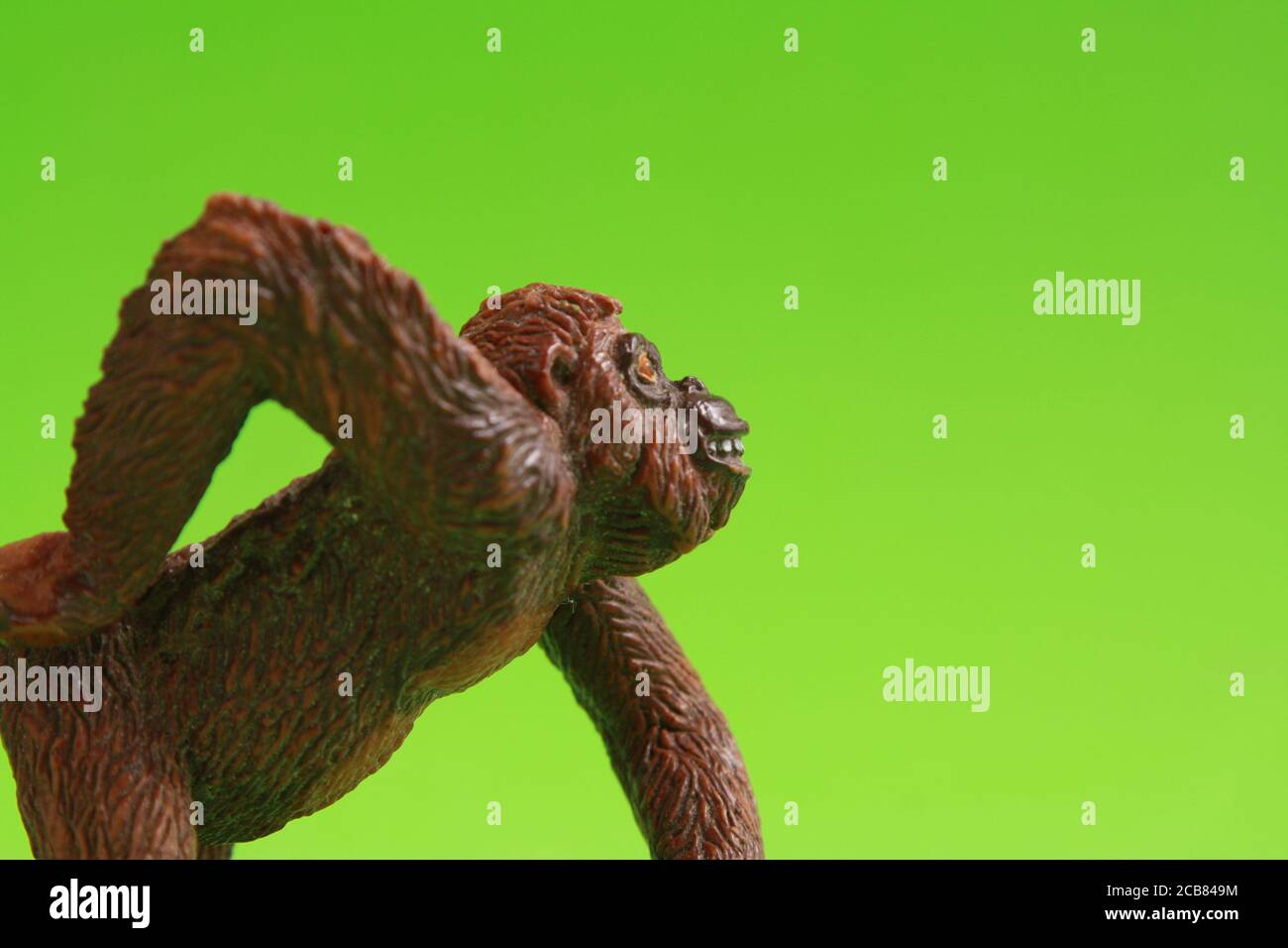Small rubber ape toy isolated on a green background Stock Photo - Alamy