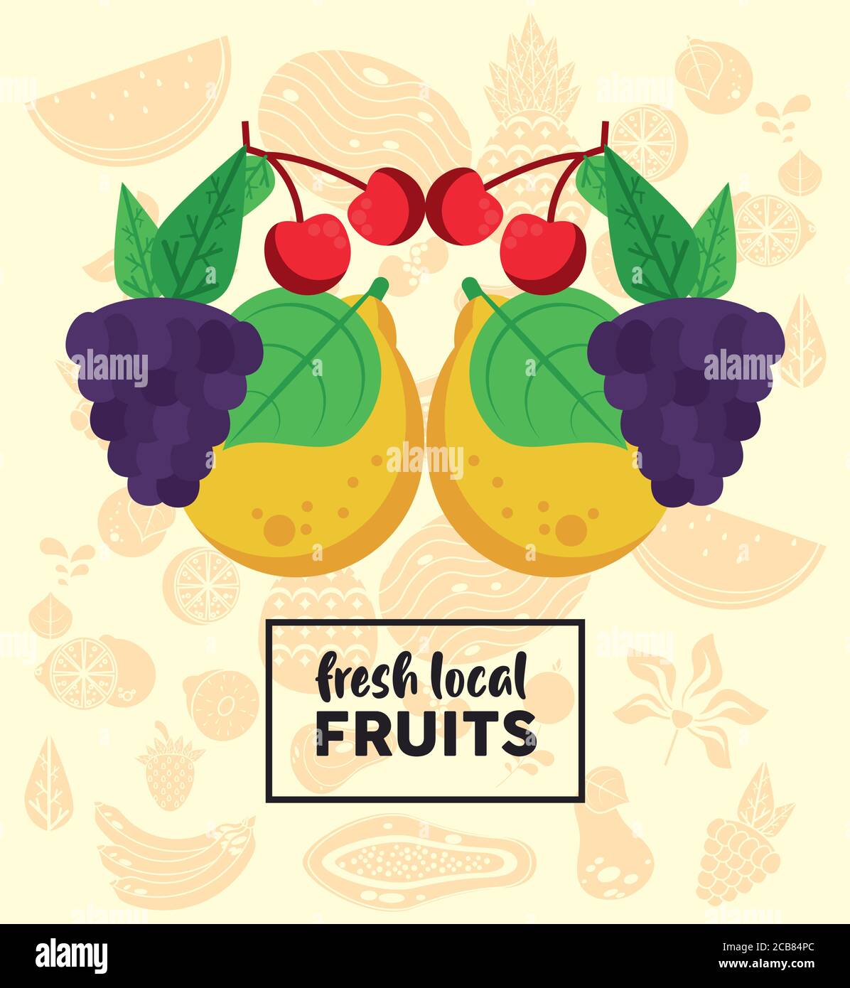 fresh local fruits lettering with grapes and fruits vector illustration ...