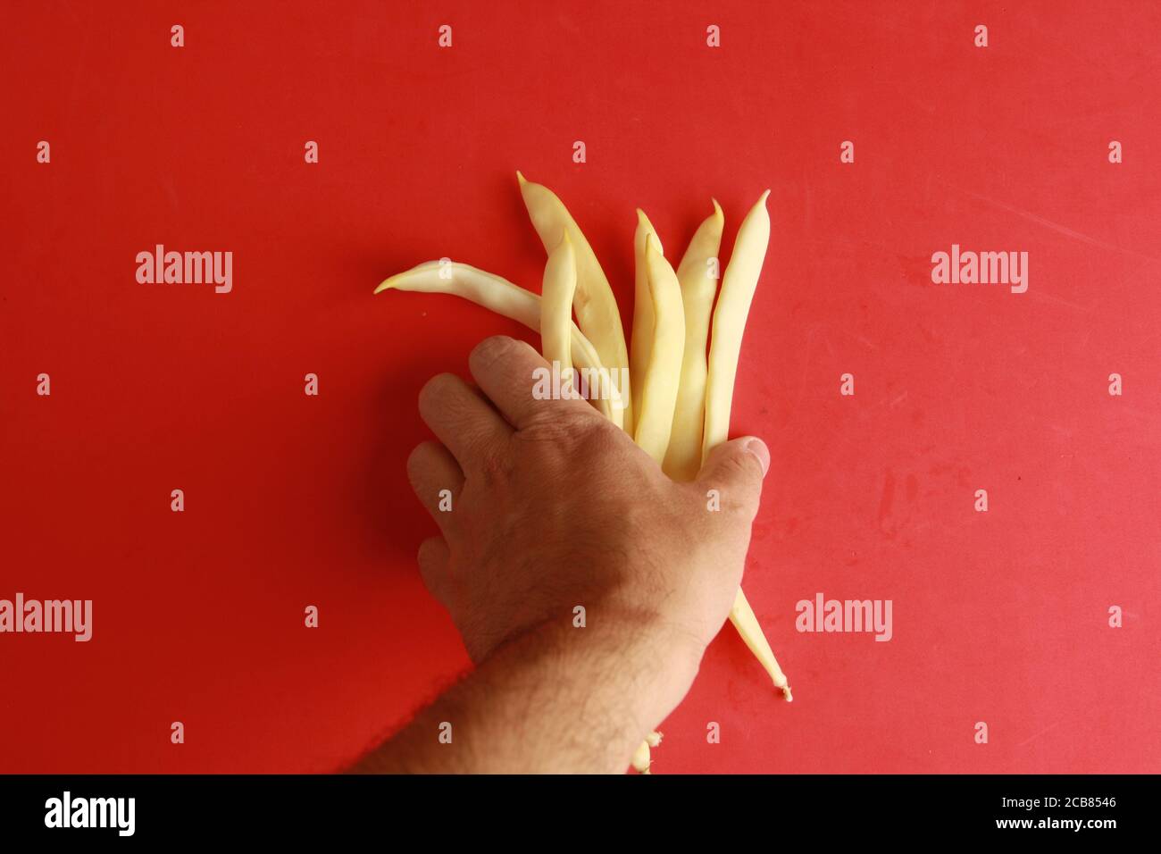 Person hand holds white green beans on color background Stock Photo - Alamy