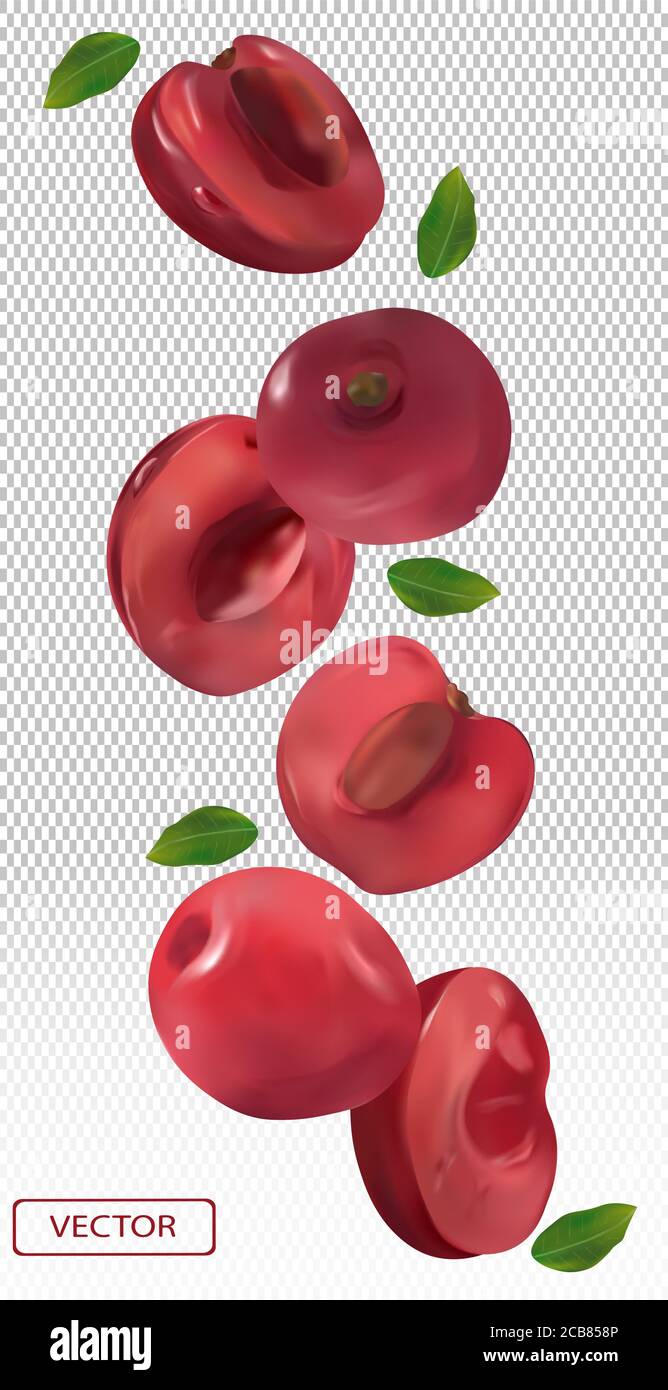 Cherry falling from different angles. Flying cherry with green leaf on ...