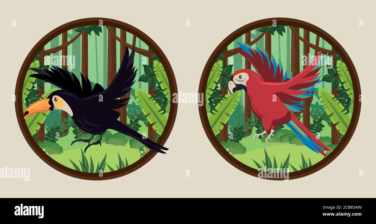 wild toucan and parrot birds in circular frames vector illustration ...
