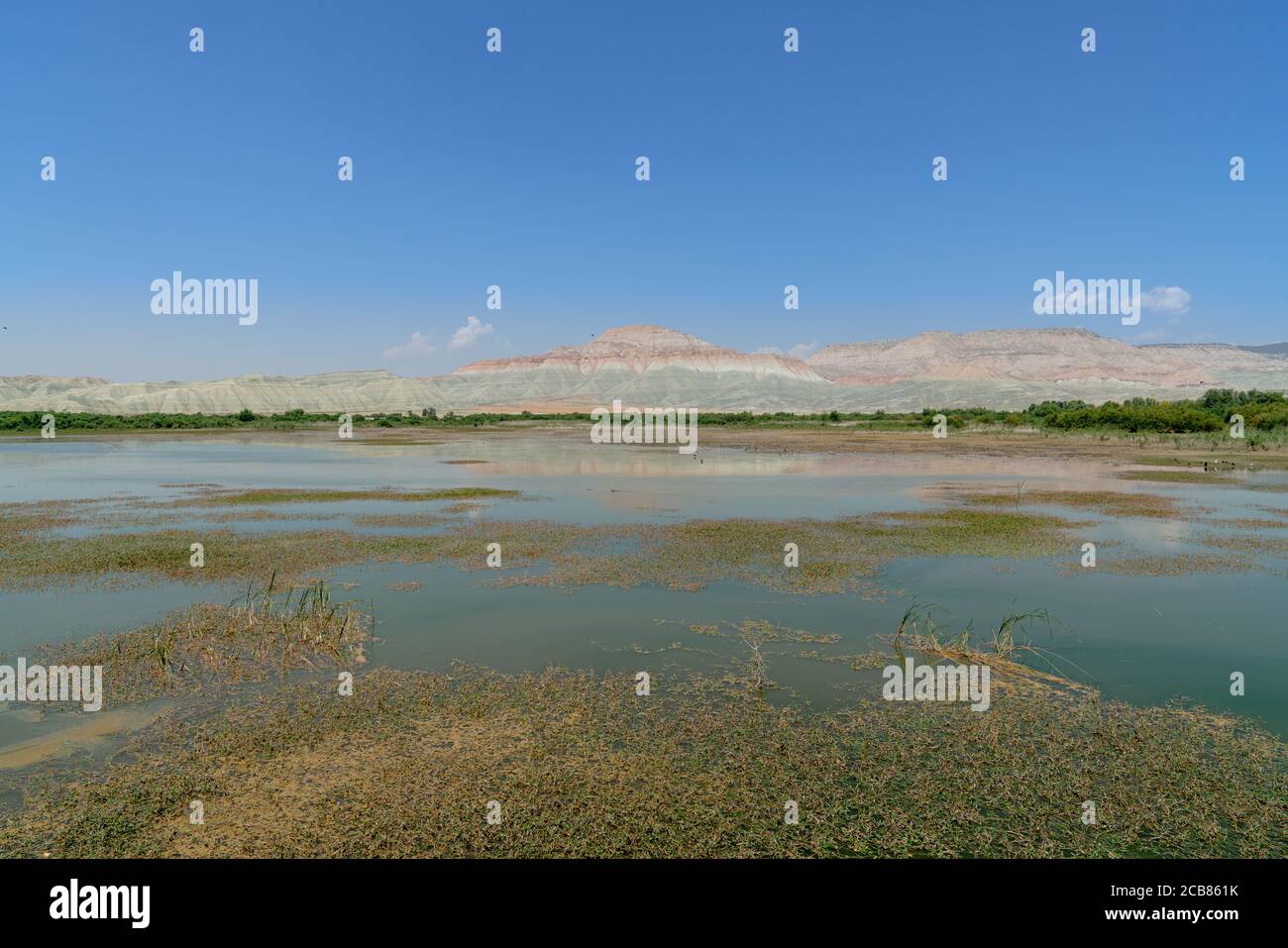 Kus Cenneti (Turkish for "Bird Paradise") nature reserve, Nallihan city ...