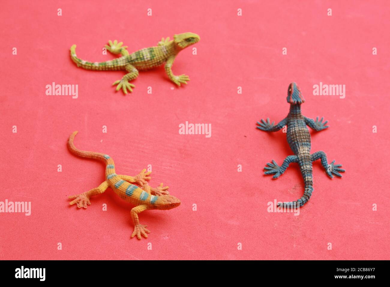 Lizard toys hi-res stock photography and images - Alamy