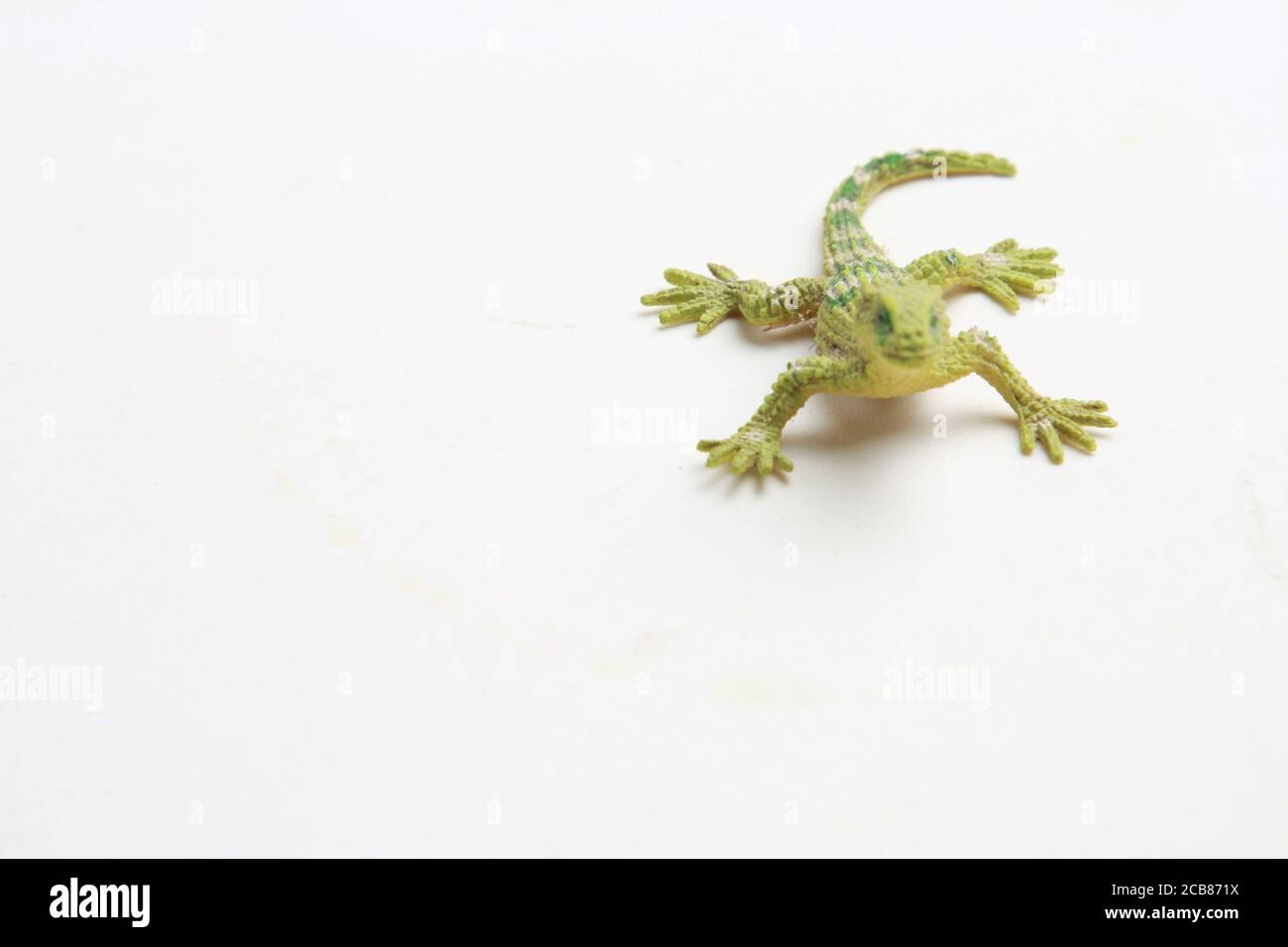 Closeup shot of a lizard shaped rubber toy on a white background Stock ...