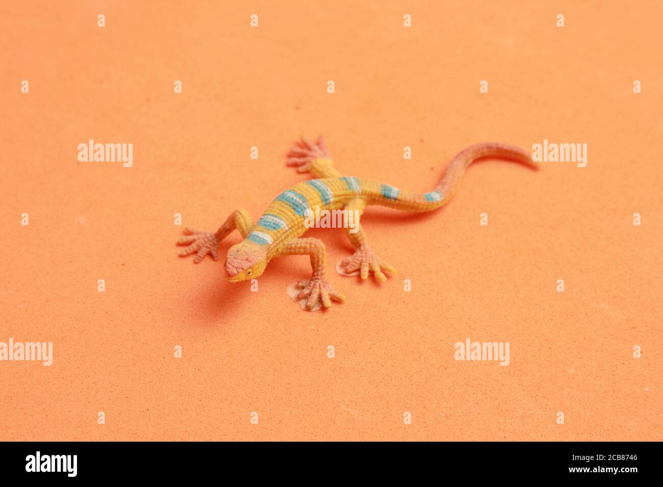 Top view of the rubber lizard toy isolated on an orange background ...