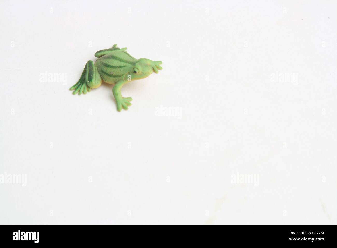 Top view of a frog toy isolated on a white background Stock Photo - Alamy