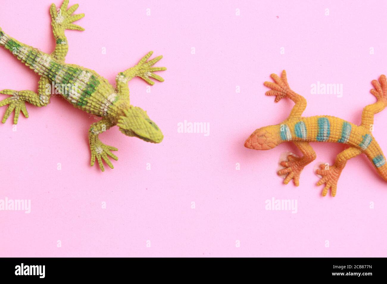 High angle shot of plastic lizard toy miniatures isolated on a color ...
