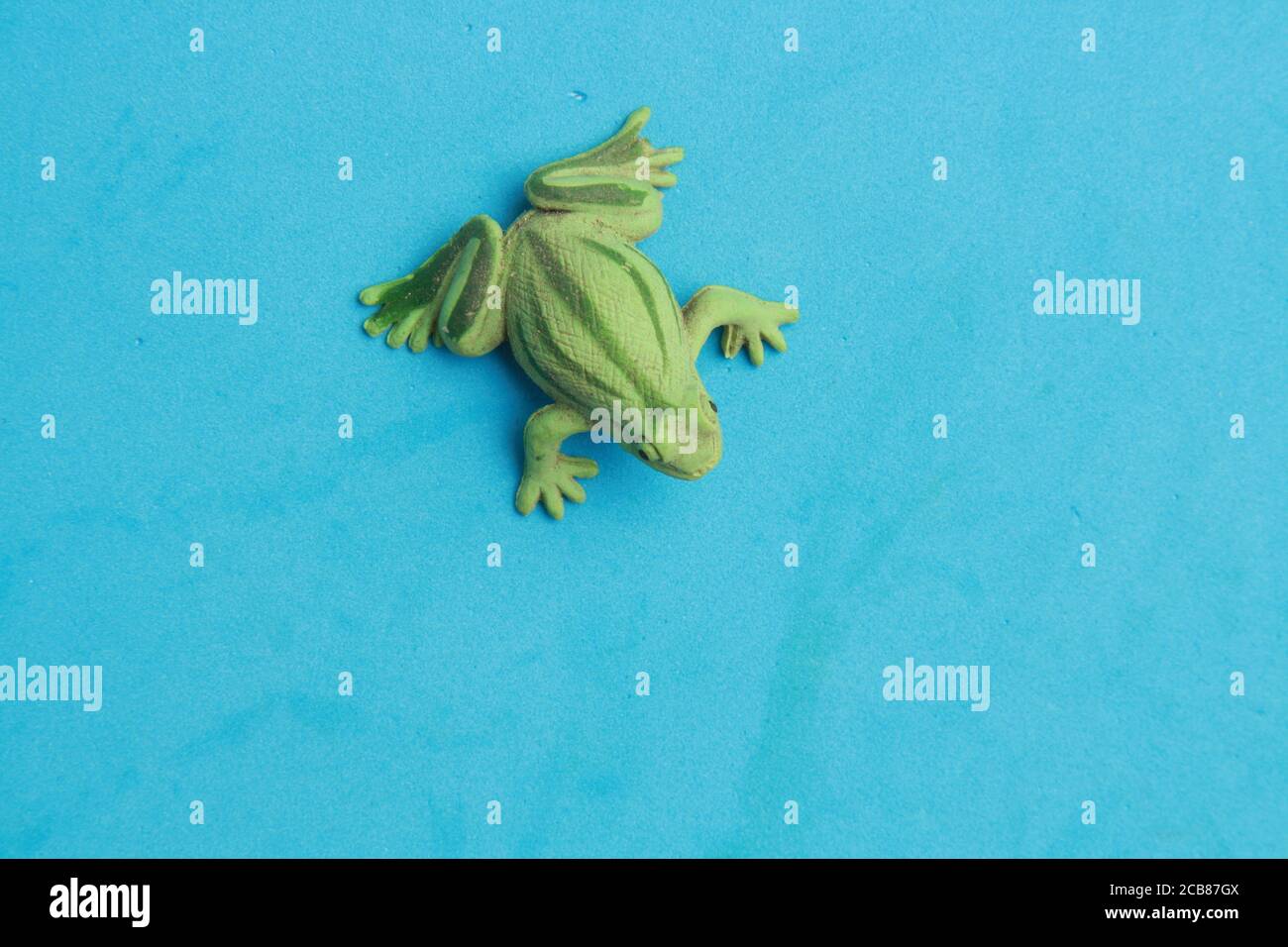 Top view of a frog toy isolated on a blue background Stock Photo - Alamy