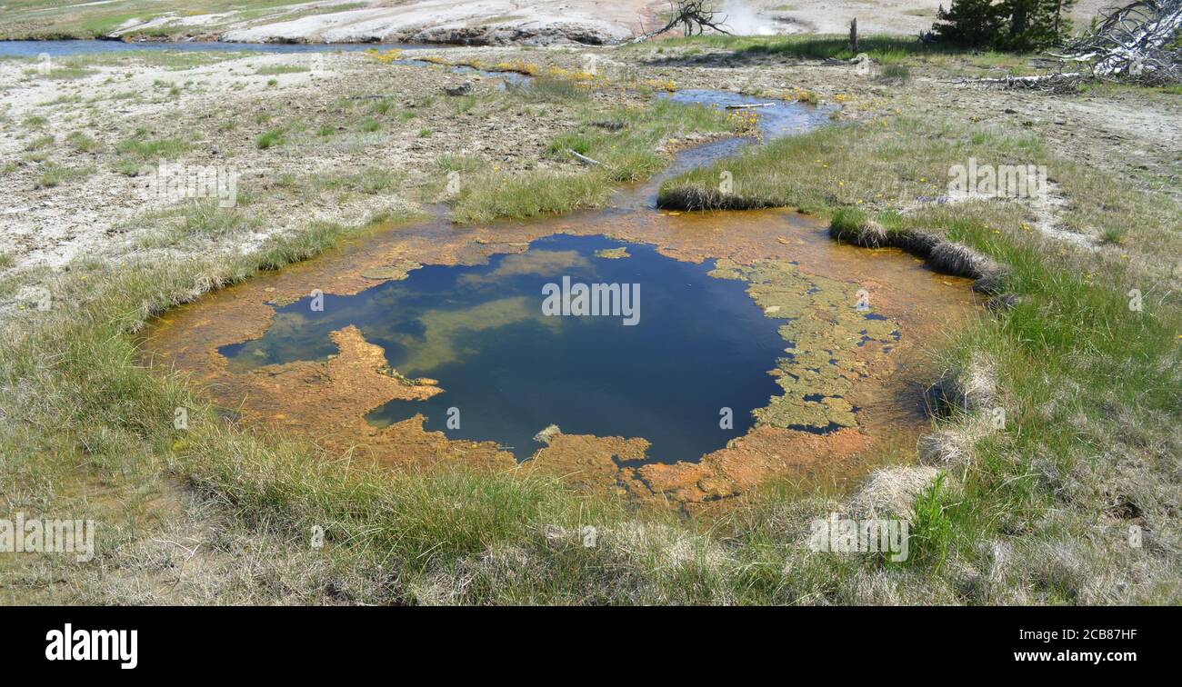 Late Spring in Yellowstone National Park: Liberty Pool Hot Spring in ...