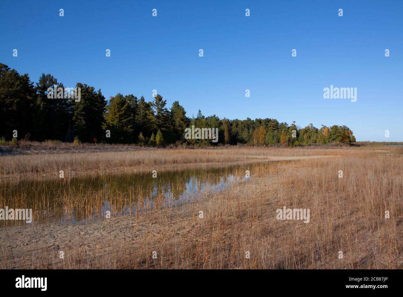 Freshwater lagoon, shoreline of Lake Huron, Northern Michigan, USA, by ...