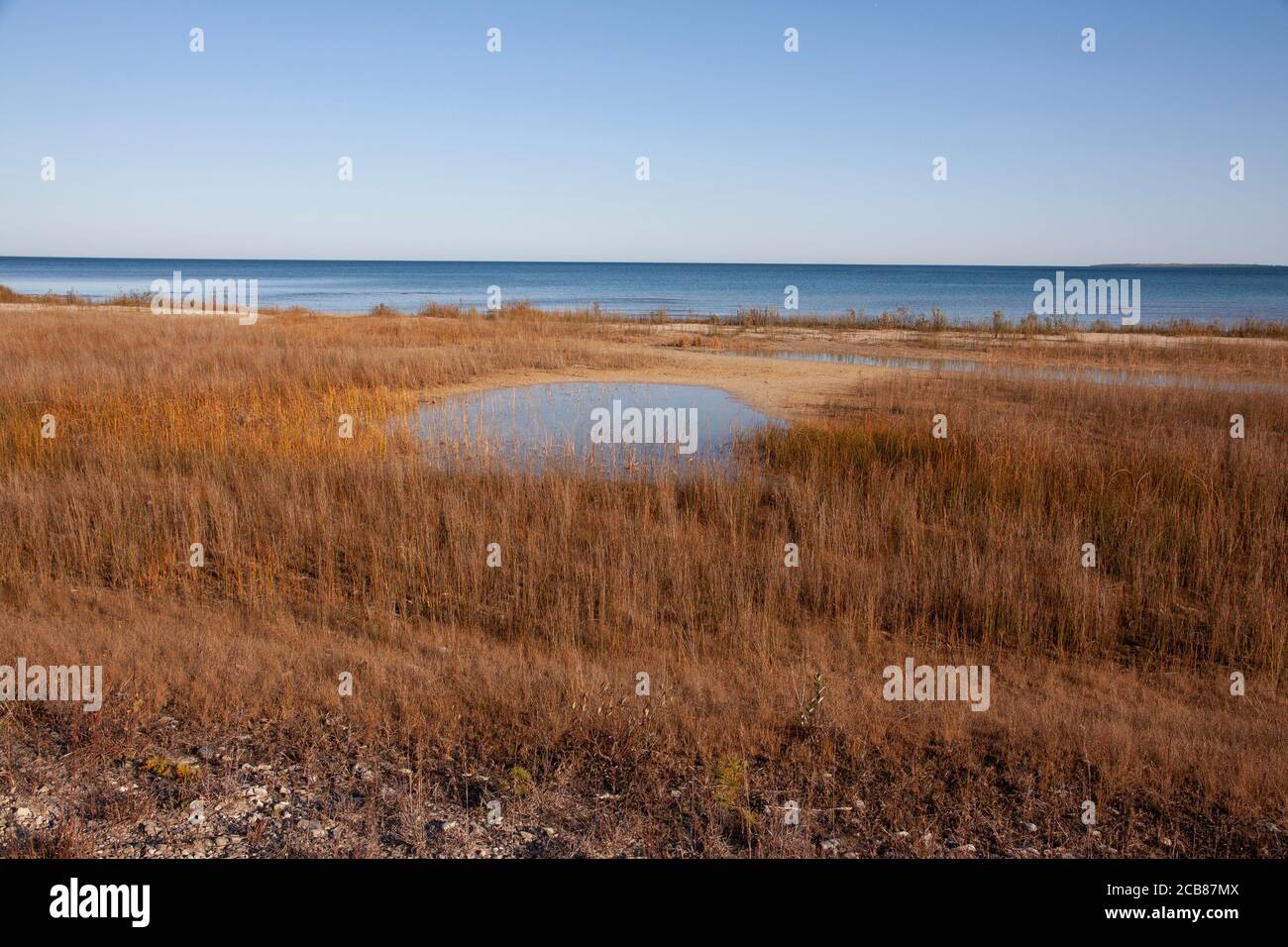 Freshwater lagoon, shoreline of Lake Huron, Northern Michigan, USA, by ...
