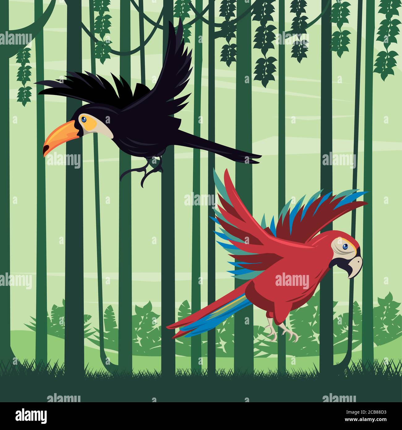 Rainforest Birds Clipart