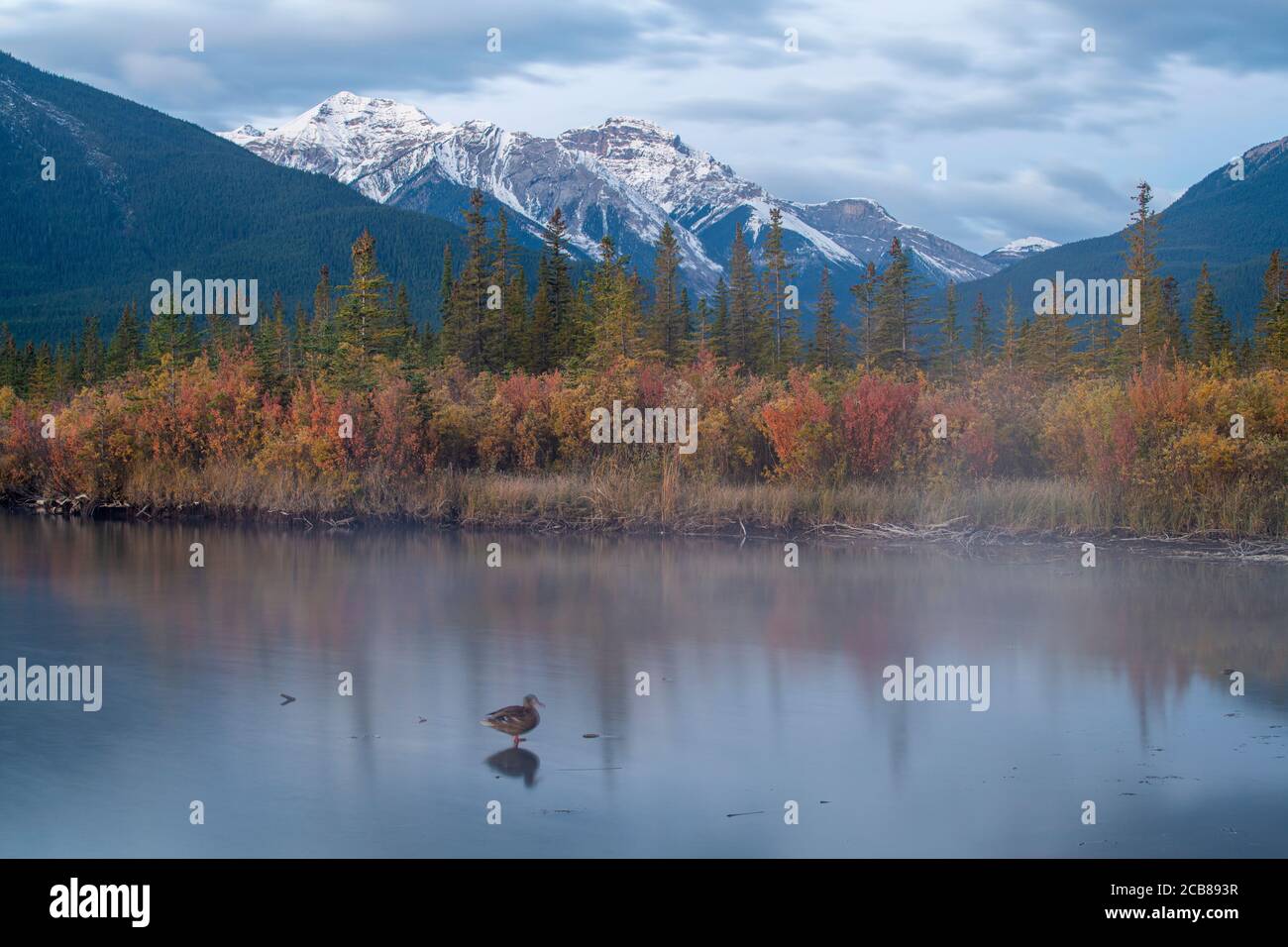 Vermilion Lakes in late September at dawn, Banff National Park, Alberta ...