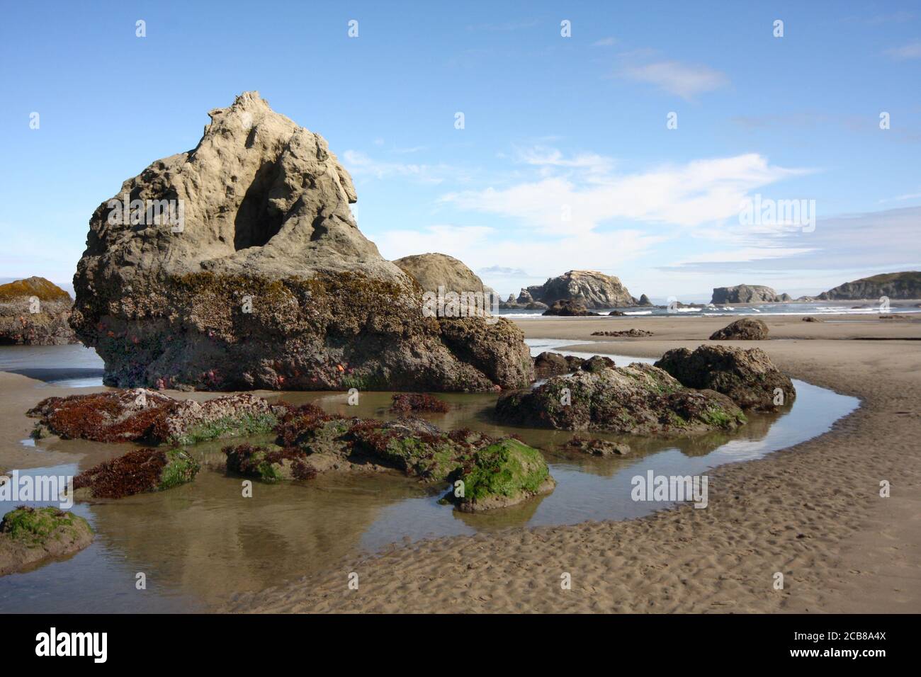 Rugged Volcanic Sea Stacks on the Oregon Pacific Coast at Low Tide ...