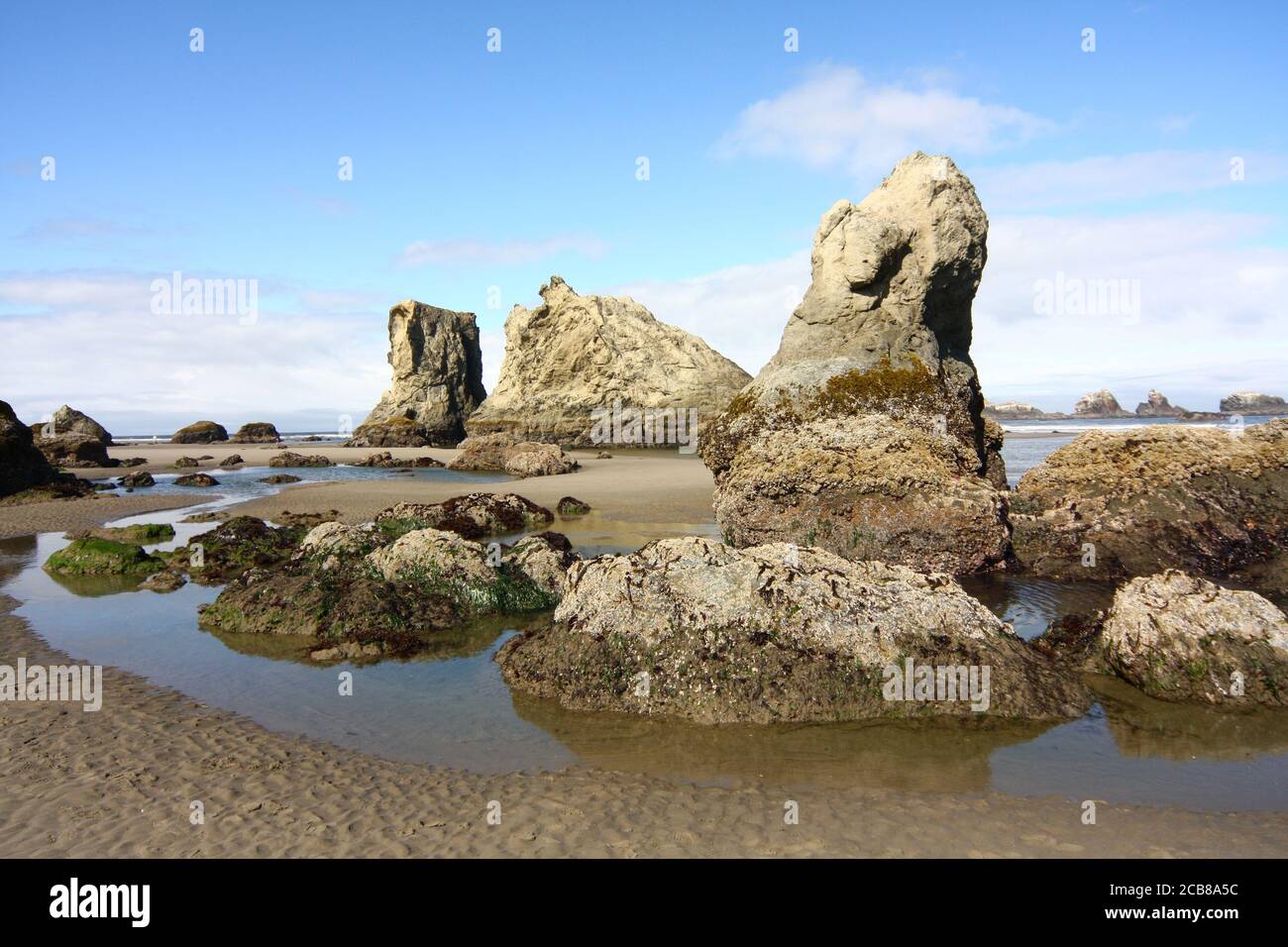 Unique Sea Stacks on the Oregon Coast at Low Tide Stock Photo - Alamy