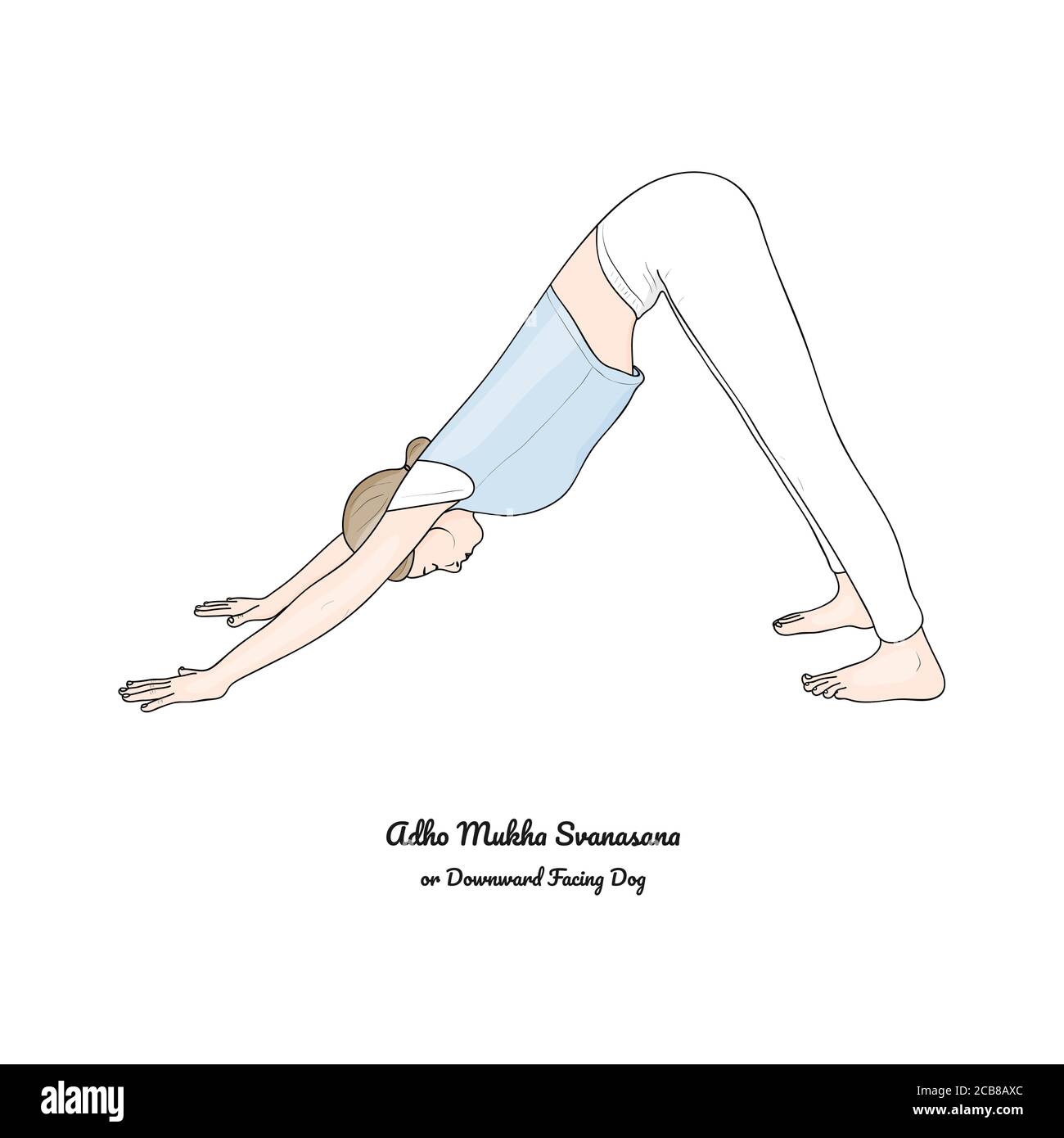 Adho Mukha Svanasana or Downward Facing Dog. Vector Stock Vector Image ...