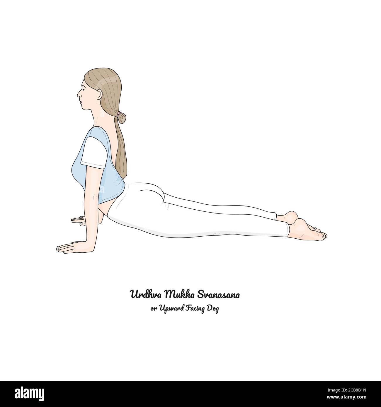 Upward Dog Drawing