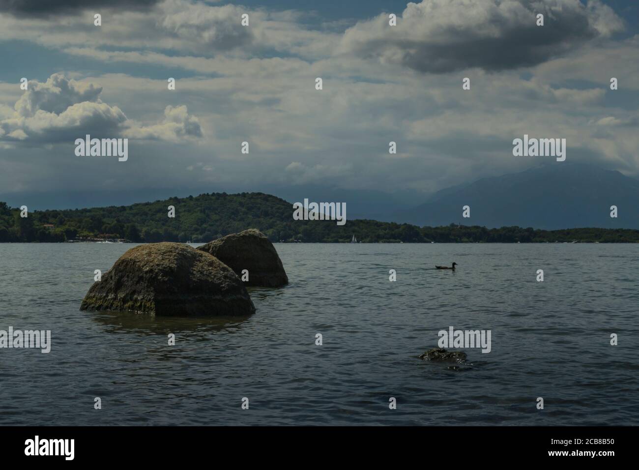 Viverone High Resolution Stock Photography and Images - Alamy