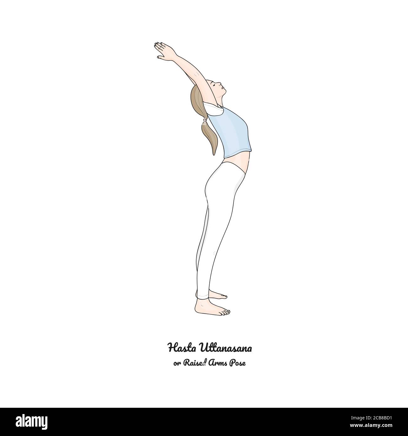 Hasta Uttanasana or Raised Arms Pose. Vector Stock Vector Image & Art ...