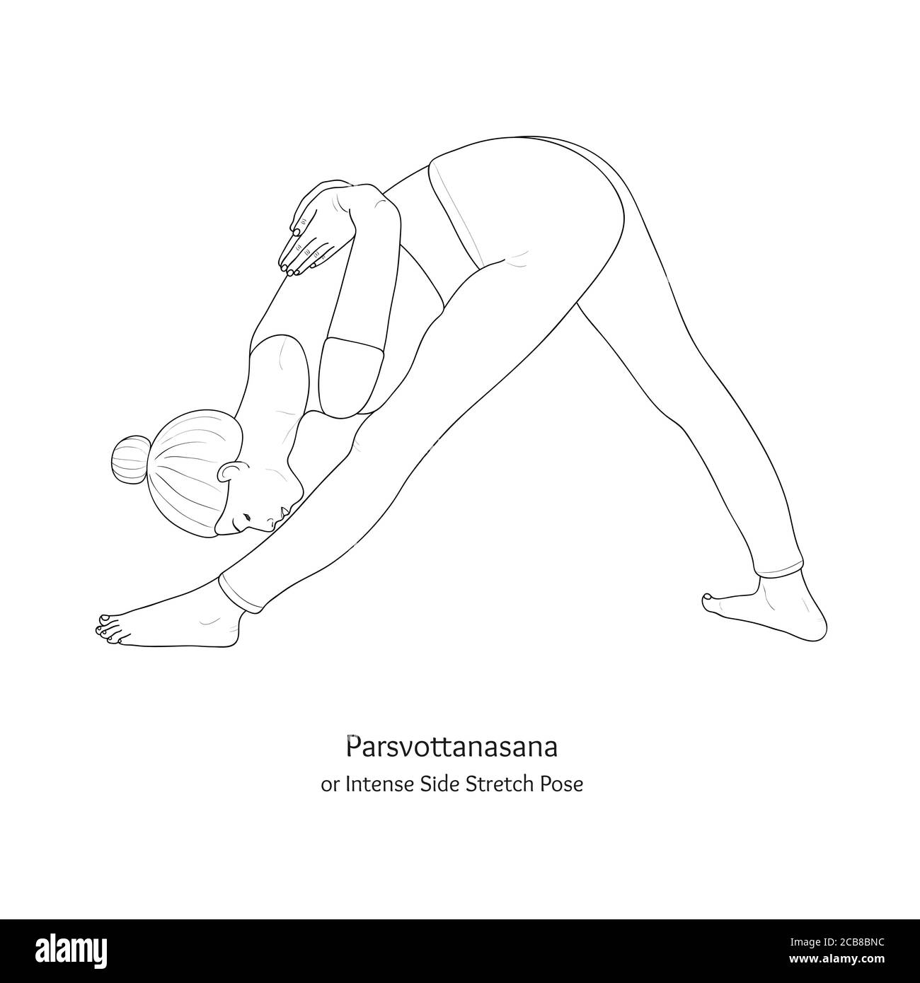 Parsvottanasana Or Intense Side Stretch Pose Vector Stock Vector Image