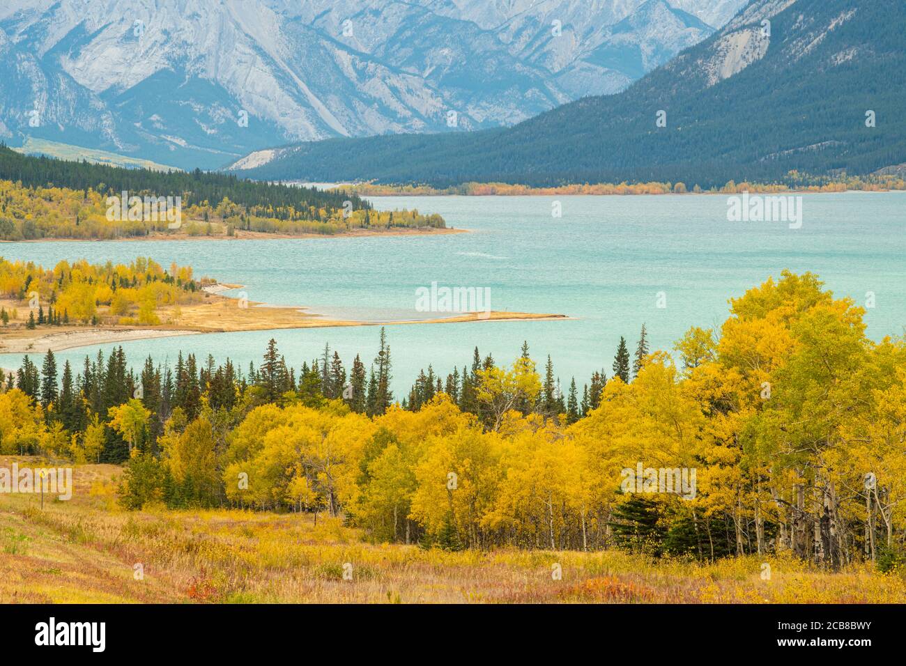 Abraham Lake, Kootenay Plains ecological preserve, Alberta, Canada ...