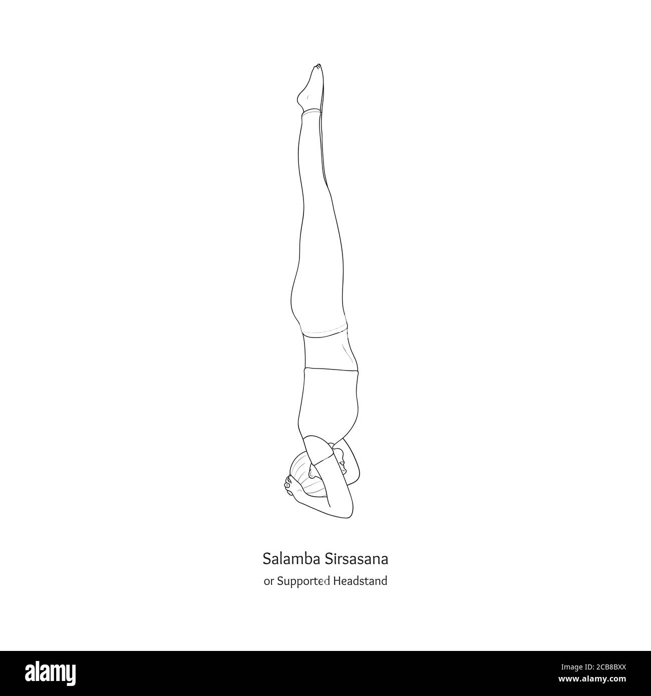 Supported Headstand (Salamba Sirsasana). Vector Stock Vector Image ...