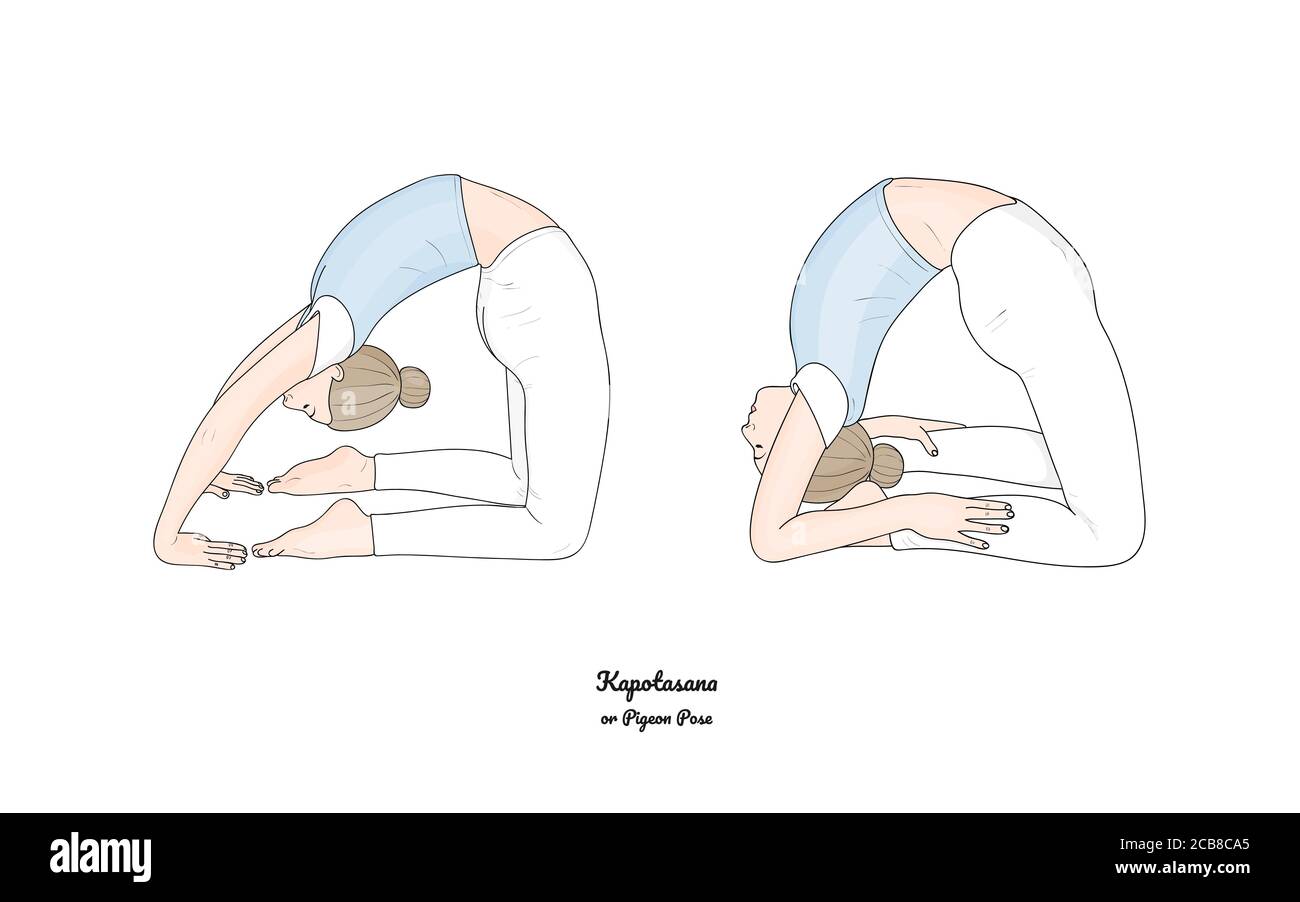 Kapotasana or Pigeon Pose. Vector Stock Vector Image & Art - Alamy