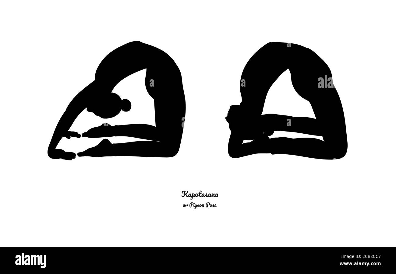 Kapotasana or Pigeon Pose. Vector Stock Vector Image & Art - Alamy