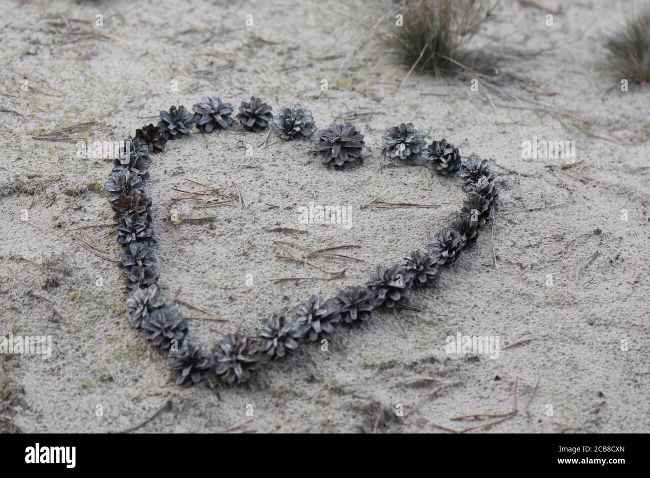 pine cone shaped heart Stock Photo - Alamy